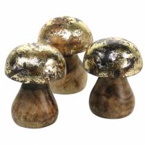 Floristik24.no Tresopp gyllen, naturlig mangotre Ø5cm H6,5cm 4stk