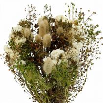 Floristik24.no Bukett tørkede blomster med enggress hvite, grønne ...
