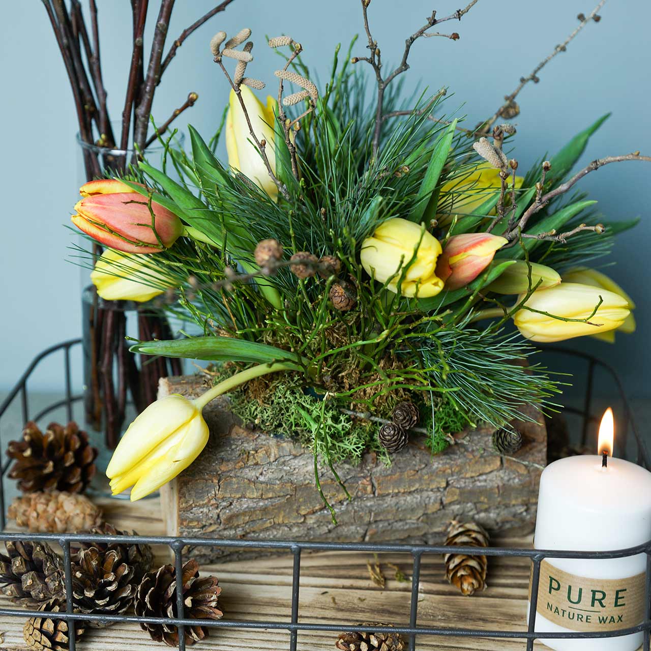 Floristik24.no Plantekar alm tre 20cm x 11cm H9cm-88936